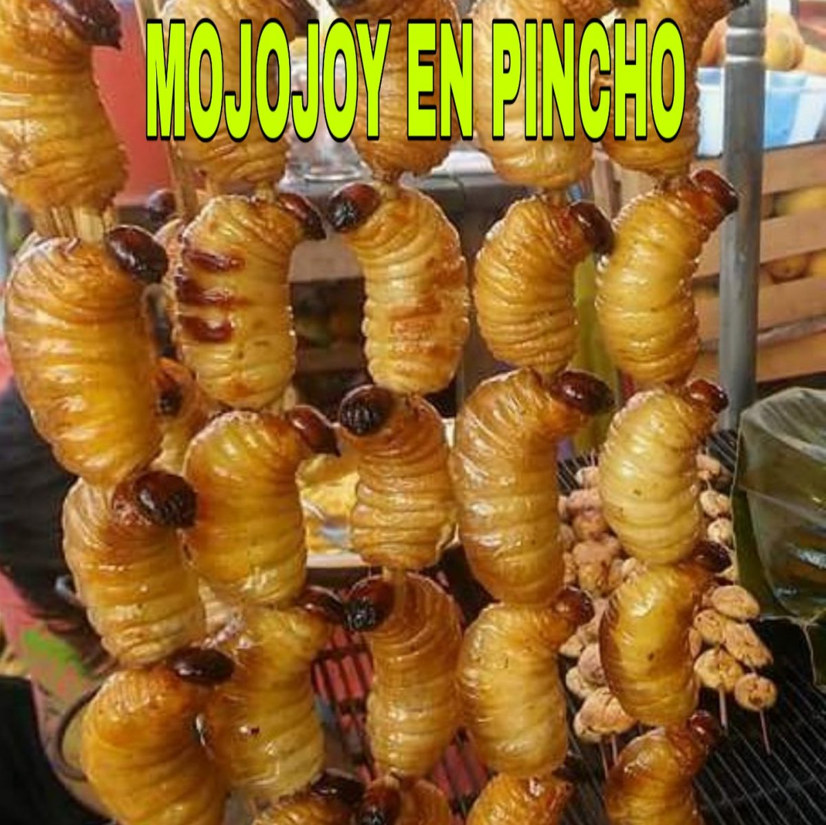 → RECETA《 Receta Gusano Mojojoy o Chiza 》《2022》 ↑↑